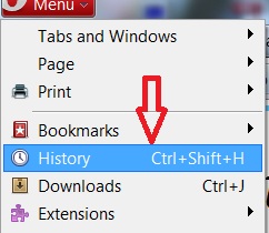 How to Completely Erase Download History from Browser