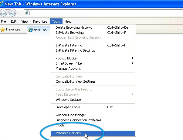 Top 6 Solutions to Internet Explorer Not Playing Videos!